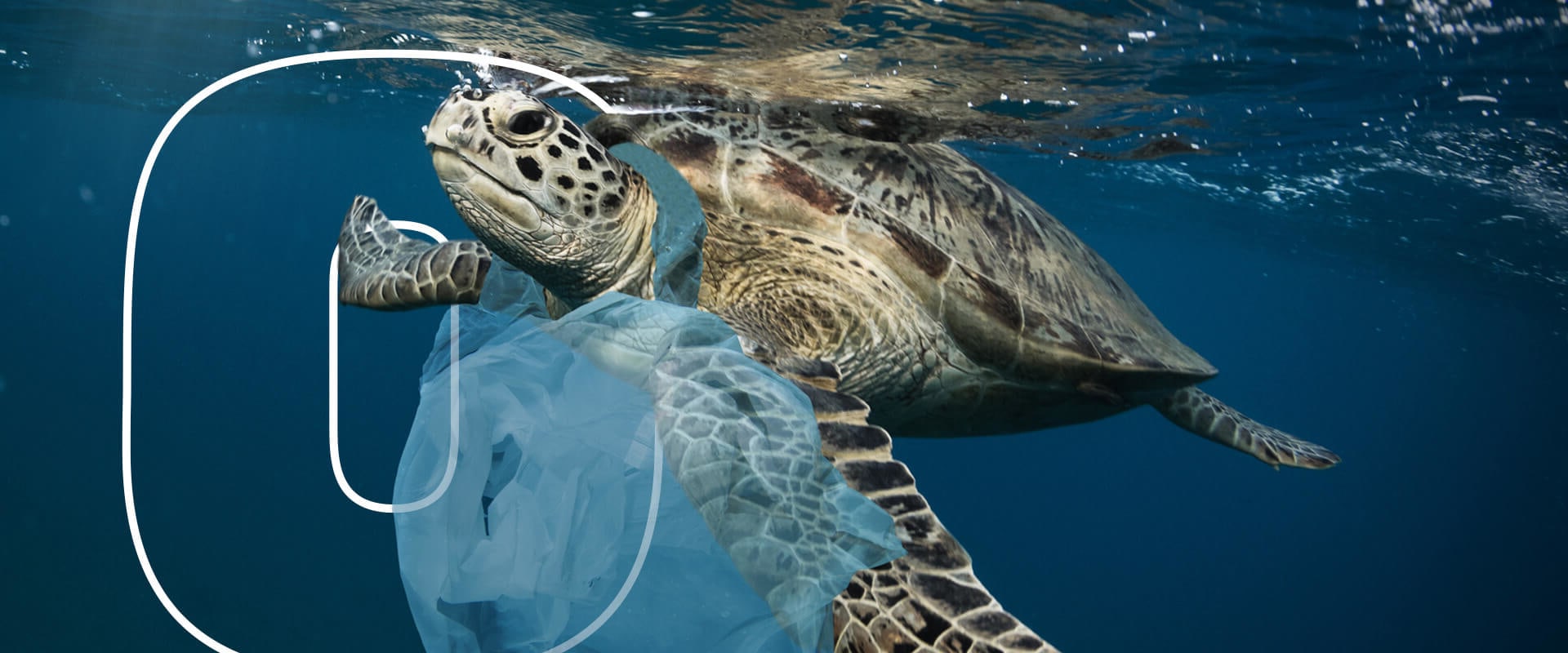 Why are plastic bags banned?
