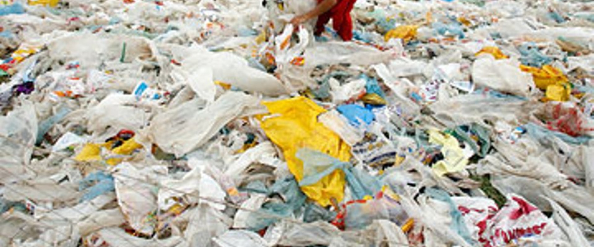 Why should we not throw plastic bags?