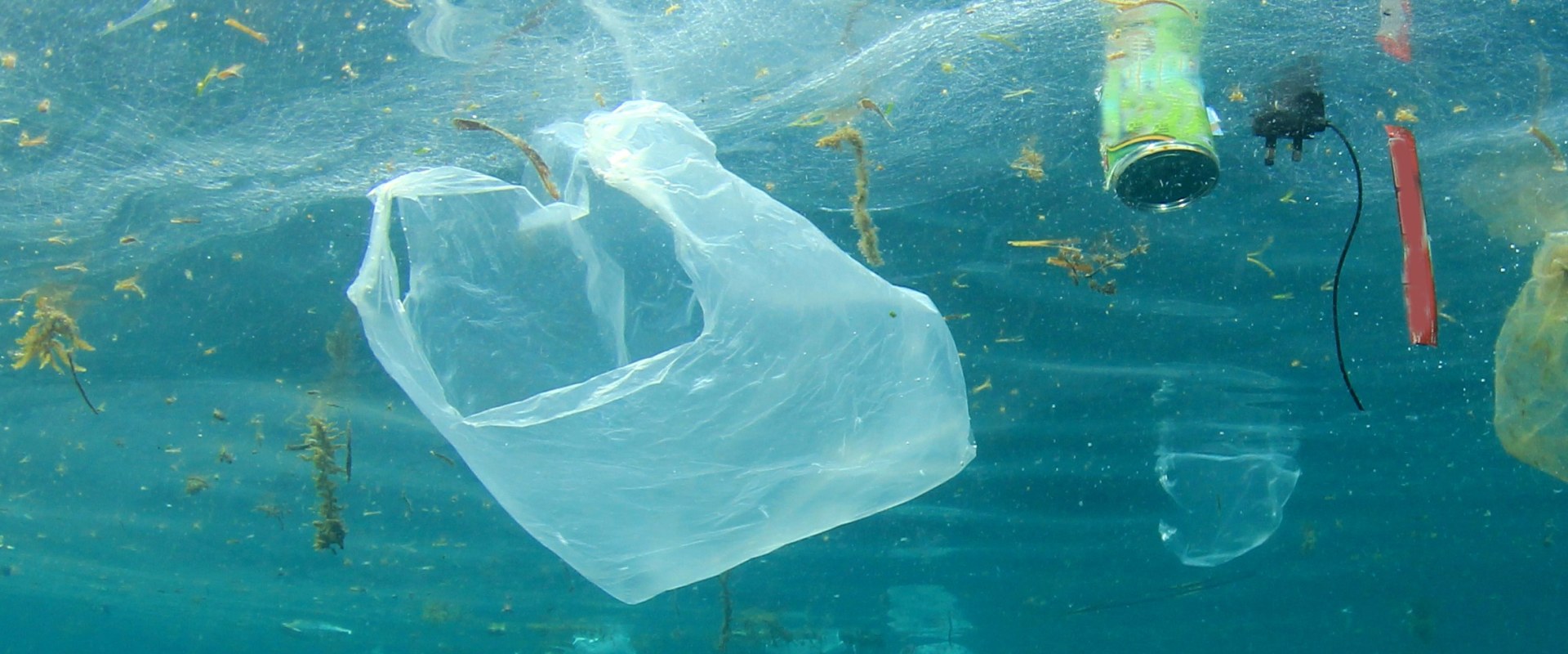 Why did they ban plastic bags?